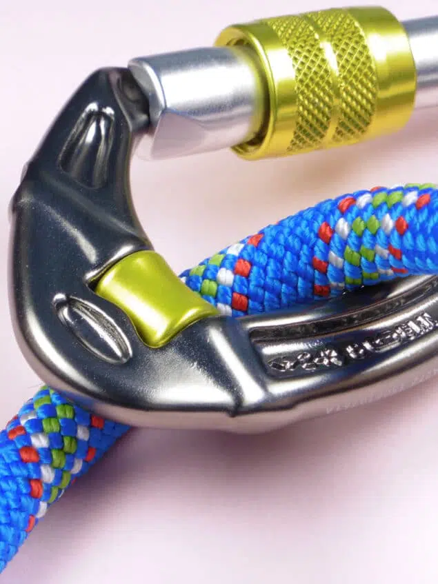 DMM Revolver screwgate carabiner - Sestogrado