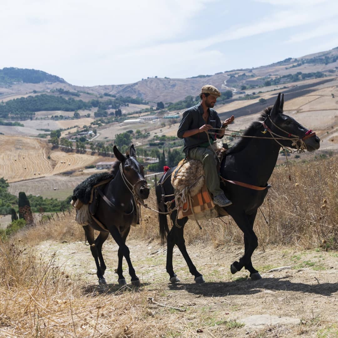 L’Italia a passo di Mulo - Sestogrado